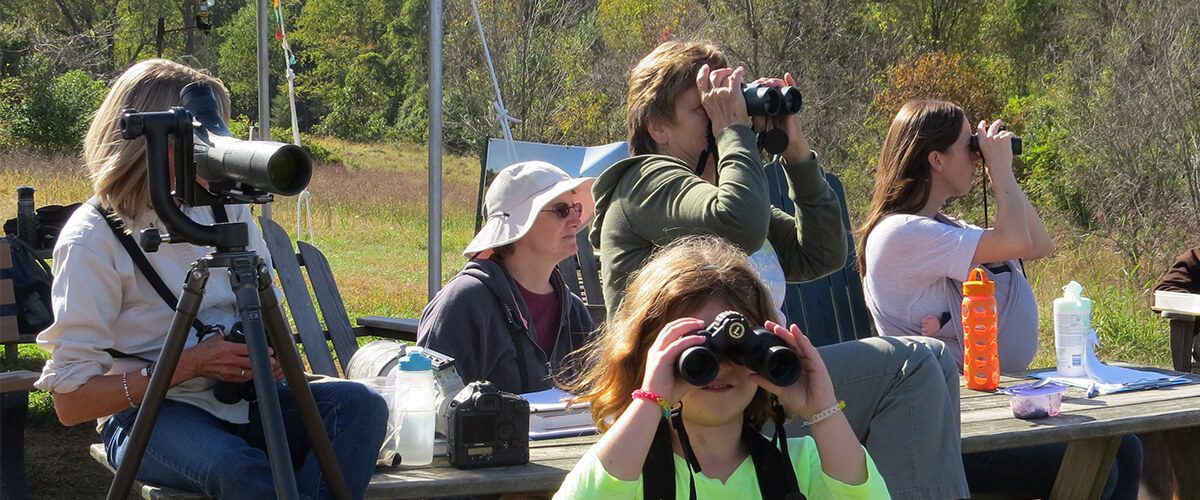 Ashland Hawk Watch - See Migrating Hawks - Delaware Nature Society